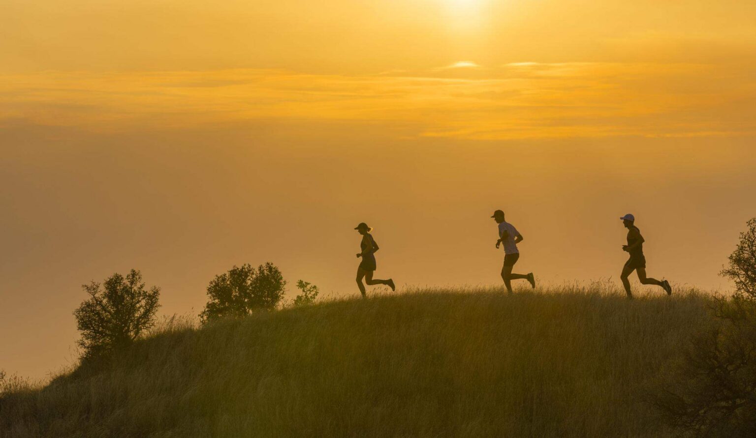 Marathons entries and packages | Marathon Tours & Travel UK